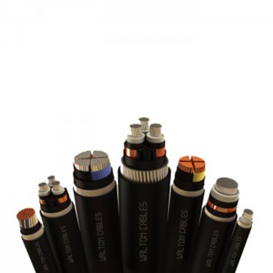 Walton - Low Voltage Cable (LT)