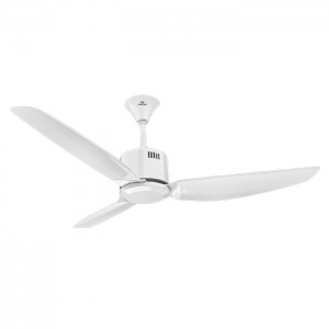 Walton - Ceiling Fan